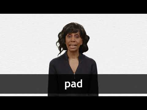 PAD definition and meaning | Collins English Dictionary
