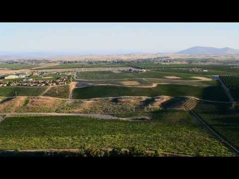 SoCal Wine TV Presents: Vindemia Vineyard & Estate Winery, Temecula Valley CA