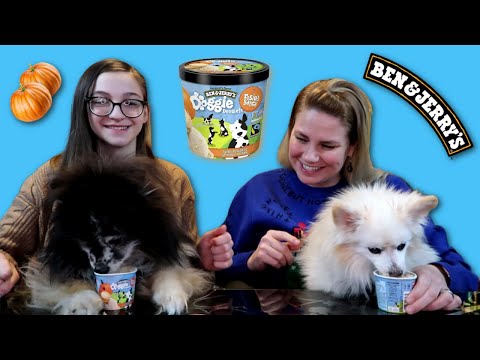 Ben & Jerry's Ice Cream For Dogs