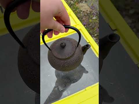 How to make Chamomile Tea from scratch using the Dehytray!