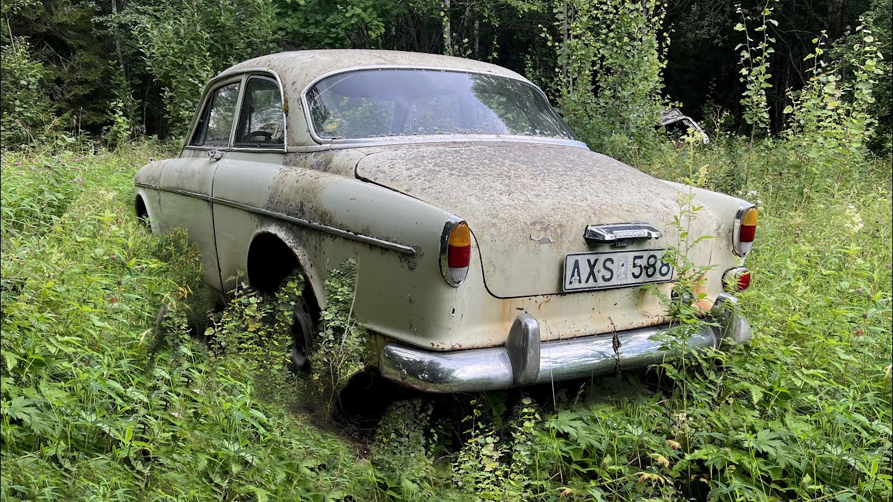 Volvo Amazon Abandoned in the Woods 30 Years Ago Roars Back to Life ...