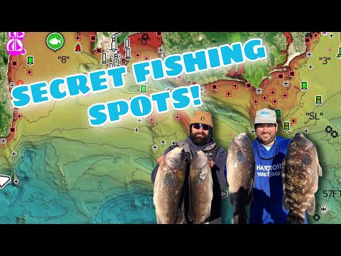 SECRET Fishing Spots! | HOW TO Navionics Charts