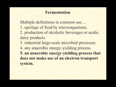 BIO2020 Episode 050.2: fermentation