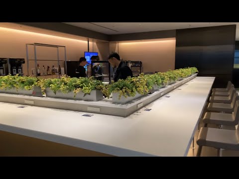 ANA business lounge at Tokyo Haneda Airport
