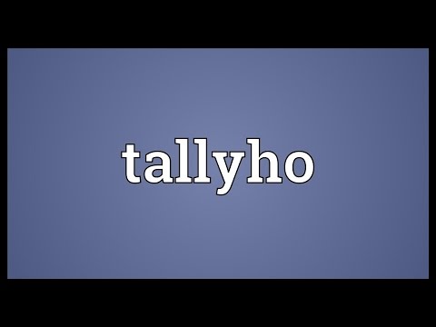 Tallyho Meaning