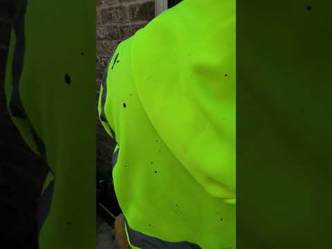 Tuckpoint Window Seals like a pro