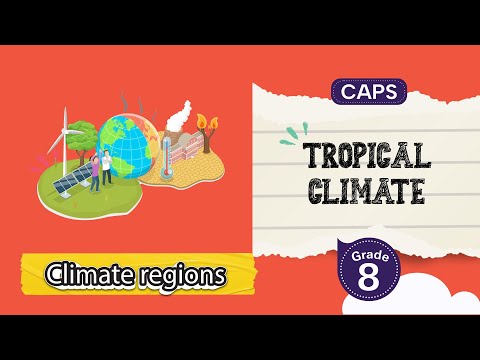 Tropical Climate