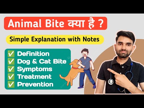 Animal Bite in Hindi | Dog Bite And Cat Bite in Hindi | Animal Bite First Aid Treatment