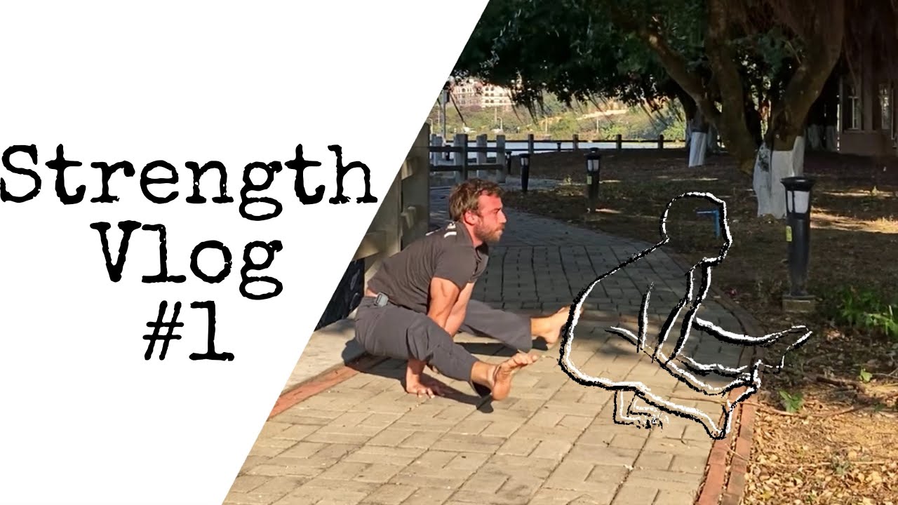 How I Maintain Strength - Stalder Press Handstand | Vlog 1