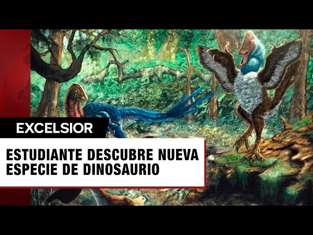 Fósil hallado en Alemania revela historia de los antiguos reptiles ...