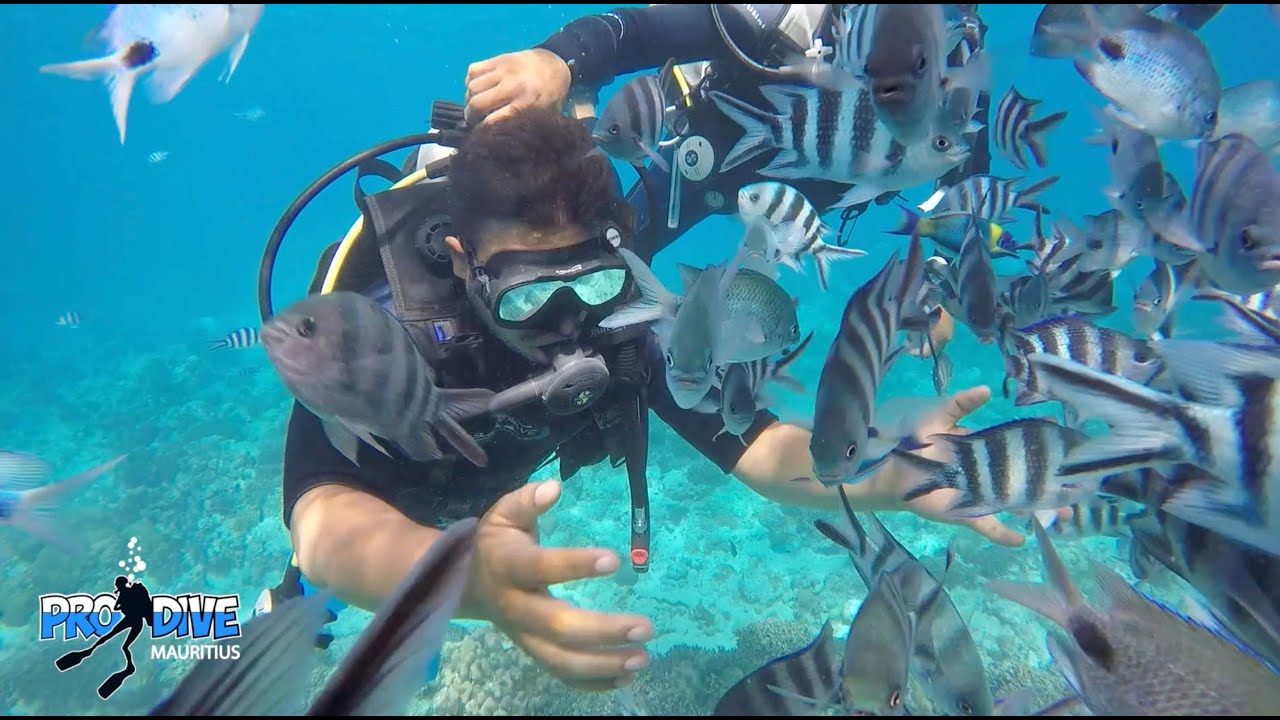 First Dive With Pro Dive Mauritius