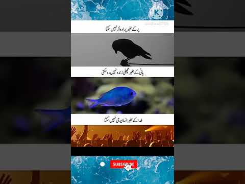Amazing words| beautiful words| urdu quotes| #shorts #youtube #viralshorts #yt #shortsfeed #ytshorts