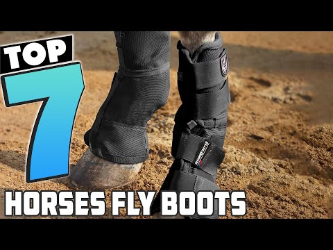 Best Fly Boots for Horses 2024: Keep Your Horse Comfortable