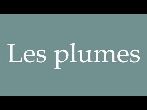How to Pronounce ''Les plumes'' (Feathers) Correctly in French
