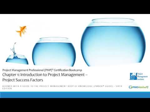 Chapter 1 Introduction to Project Management, Project Success Factors
