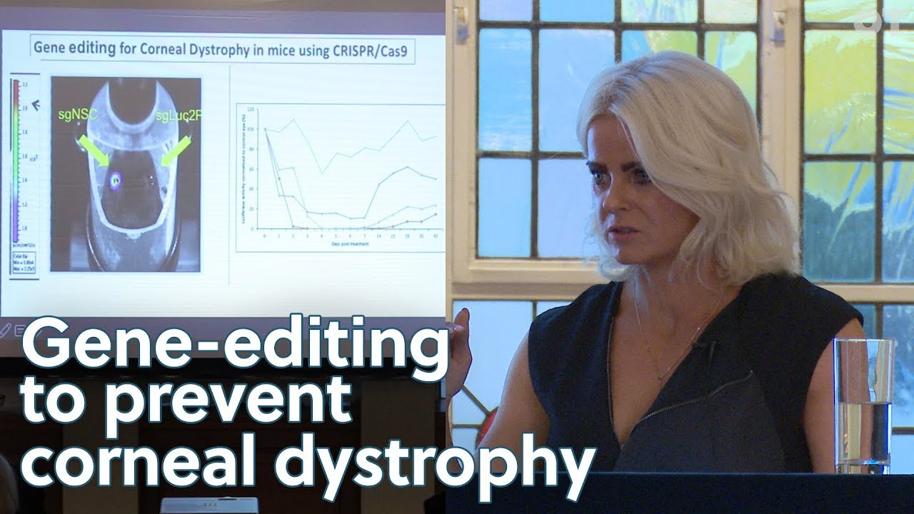 Developing gene-editing to prevent  corneal dystrophy