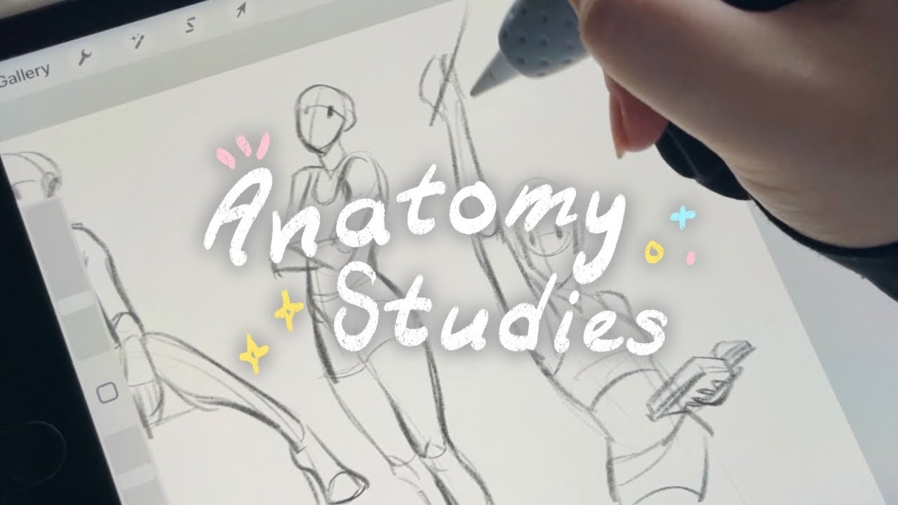 sketch with me // procreate ✿ anatomy studies 001