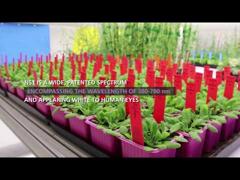 Sunlight LED Grow Light Spectrum, NS1 - Optimized for Production and Research