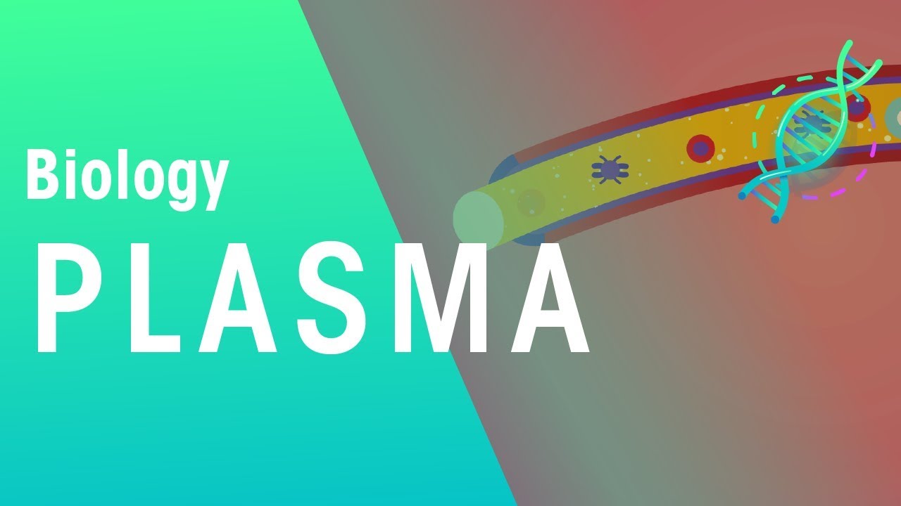 Plasma | Physiology | Biology | FuseSchool