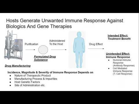 Bioanalysis 101 Series: Immunogenicity And Anti-Drug Antibodies