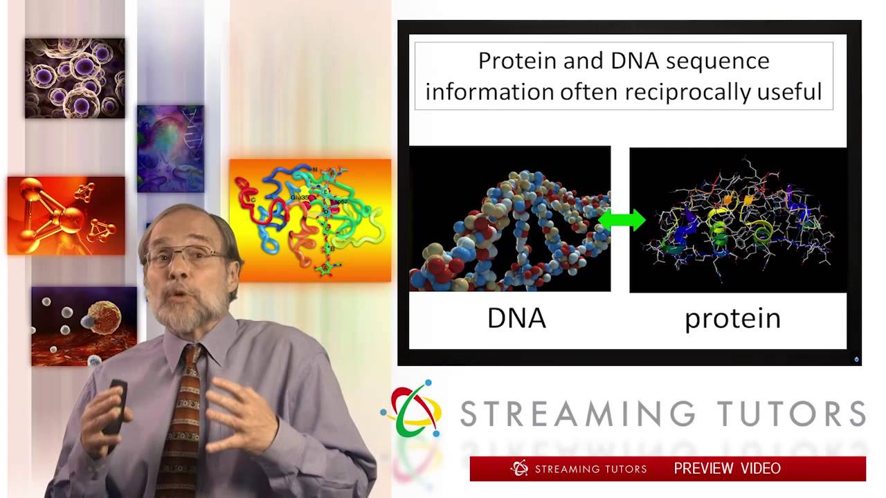 Biochemistry   Protein Primary Structure & Sequencing tutorial