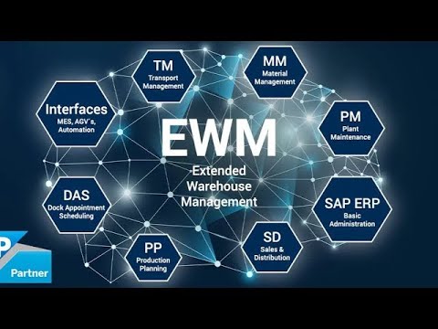 SAP EWM - Returns to Vendor RTV Process with SAP EWM