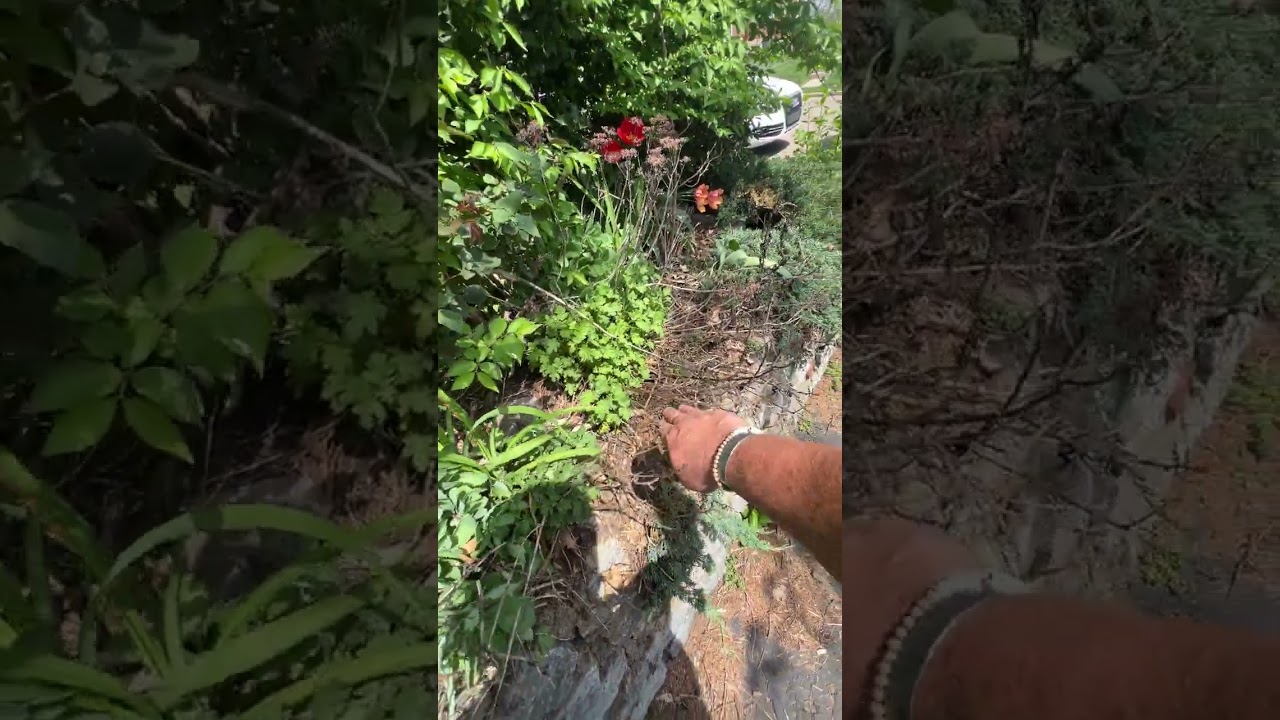 Summit landscaping part 1