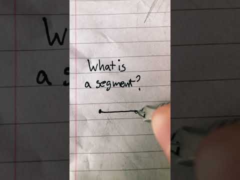What is a segment?