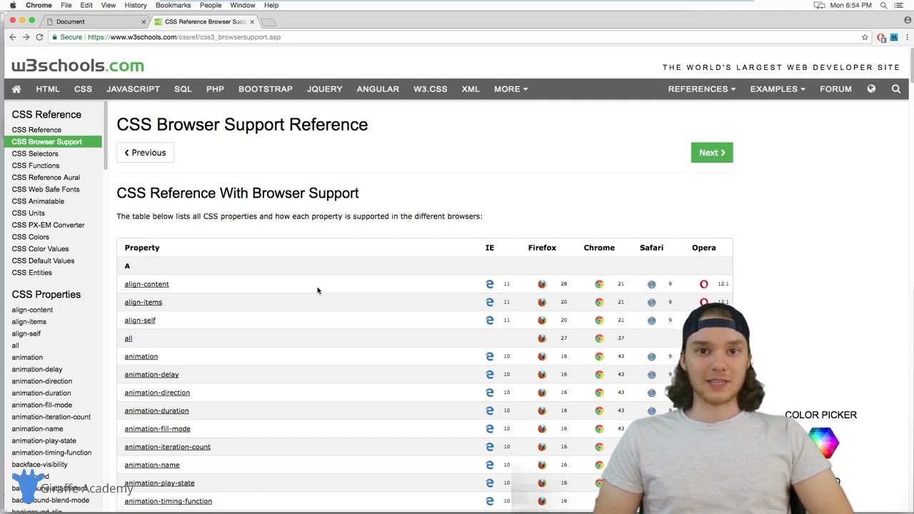 Browser Support CSS Tutorial 16 | Mike Dane