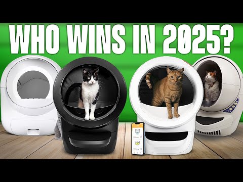 TOP 5 Best Automatic Litter Boxes 2025