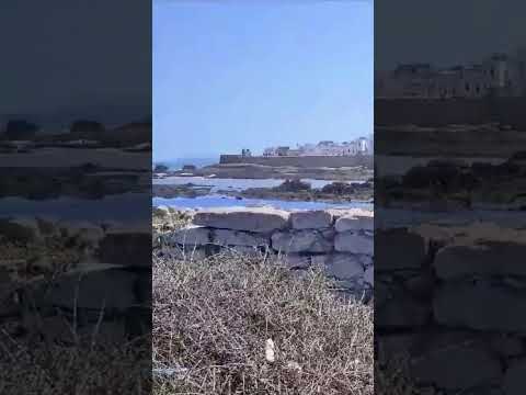 فيديو من جزيرة الصويرة #essaouira #mogador