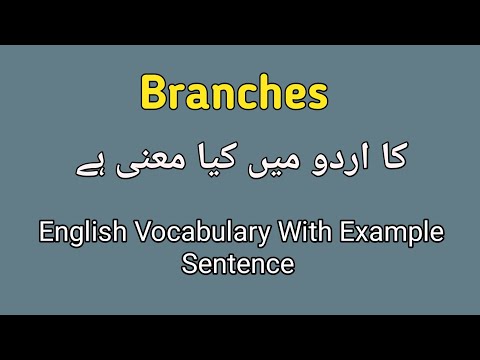 Branches meaning in Urdu/English| branches ka Urdu mein Kia Matlab HOTA hai