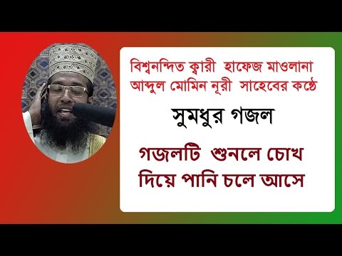গজলটি  শুনলে  চোখ দিয়ে পানি চলে আসে [ বিশ্বনন্দিত ক্বারী হাফেজ মাওলানা আব্দুল মোমিন নুরী ]