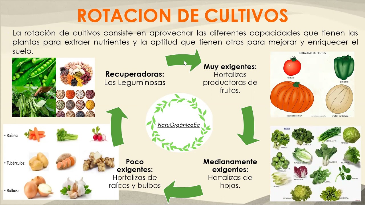Rotacion de Cultivos - Huertos Orgánicos