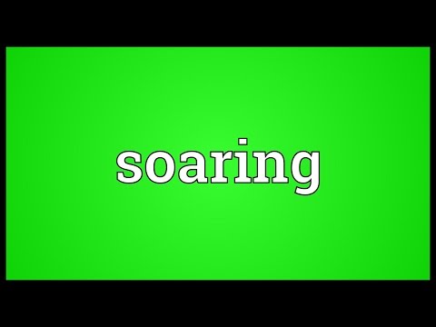 Soaring Meaning
