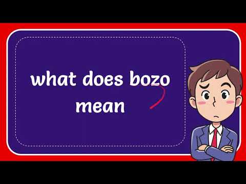 what does bozo mean