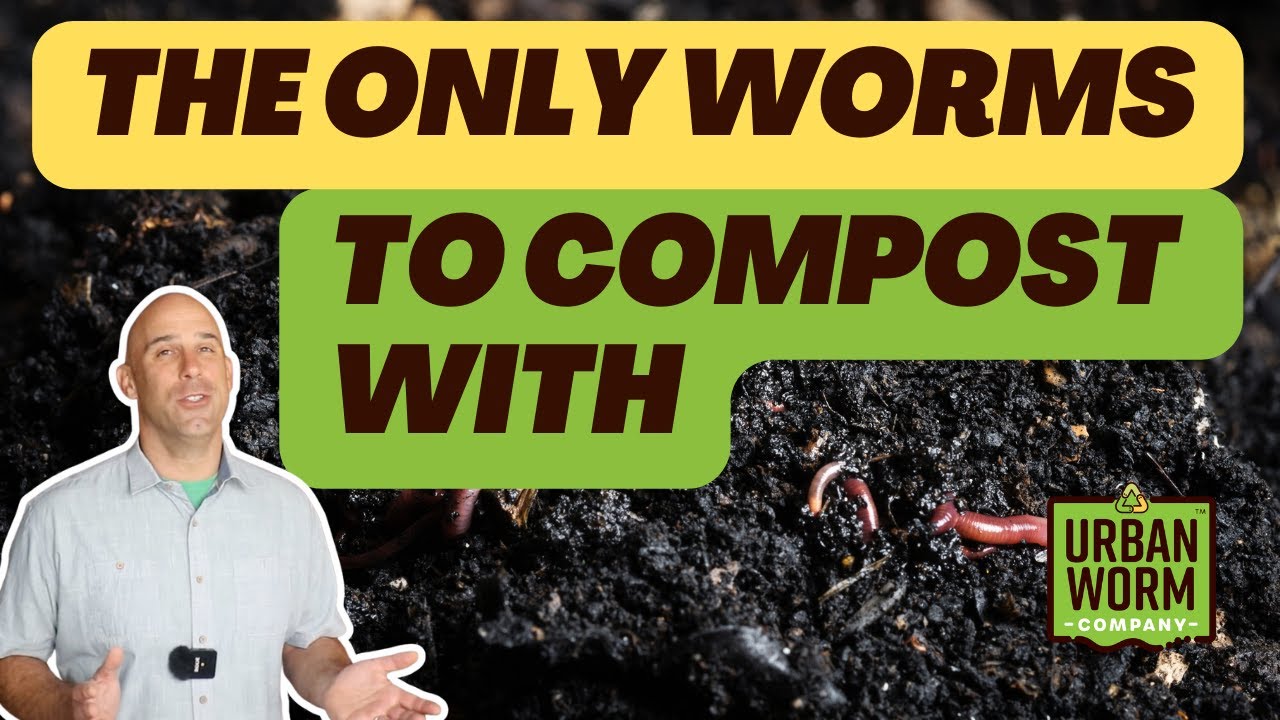The *Only* Worms You Can Use for Vermicomposting