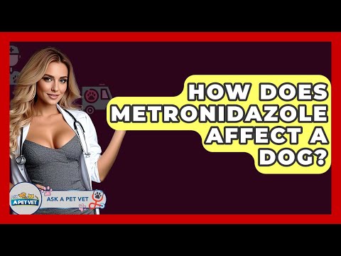 How Does Metronidazole Affect A Dog? - Ask A Pet Vet