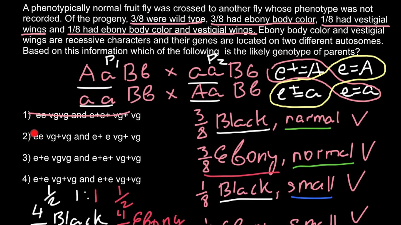 Tricky Genetics Problem and Solution