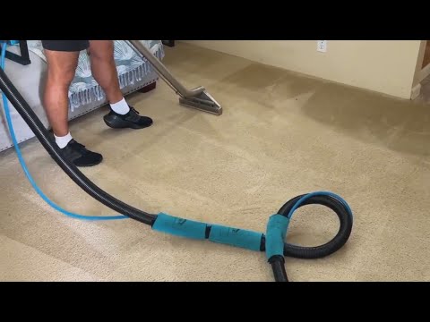 Clean Carpets: Insights from Zerorez's Scott Arko