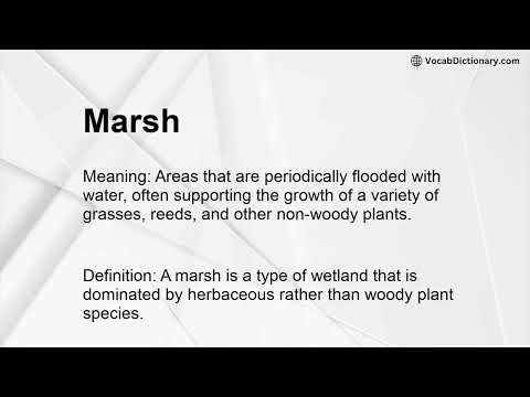 Marsh Meaning