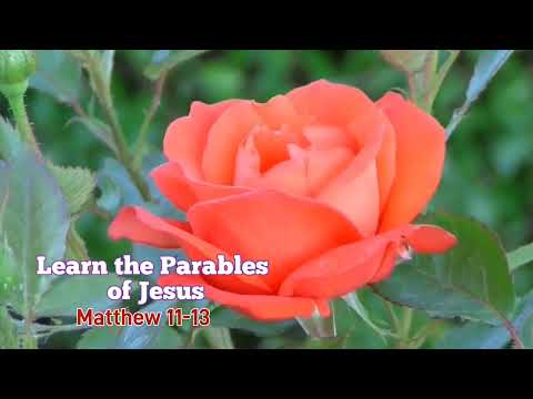 Relaxing Bible Audio - Matthew 13 Explained: Parables of Jesus and Their Meanings