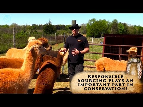 What is sourcing?