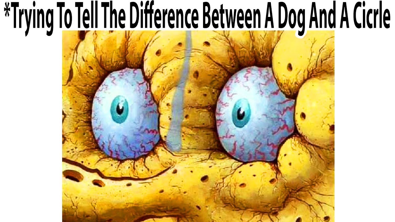 DANK BRAINY MEMES V199