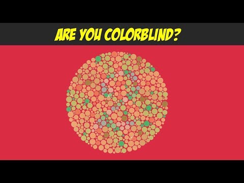 Are You Colorblind ? Real Test