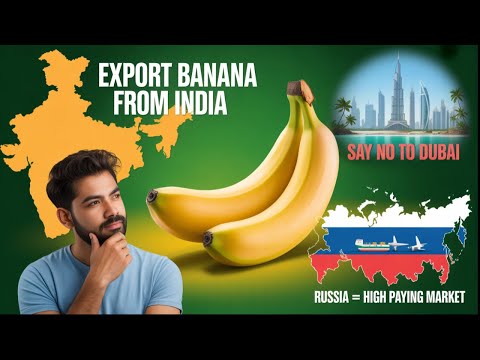 English: How to Export Bananas from India | Banana Leaf, Powder, Packing, Shipping & Market Insights
