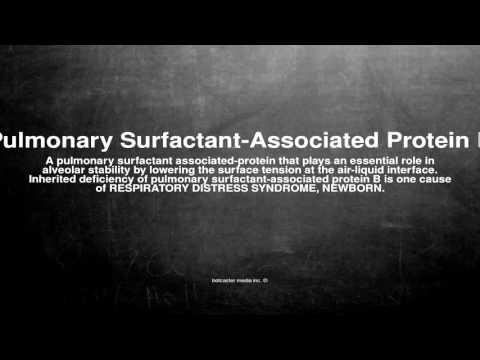 Medical vocabulary: What does Pulmonary Surfactant-Associated Protein B mean