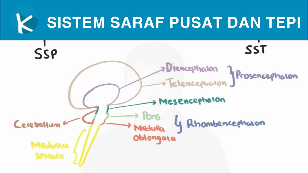 Fisioterapi Komprehensif Neurologi dan Psikiatri II | Universitas ...