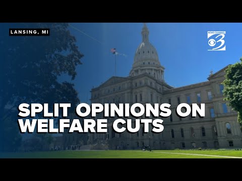 Michigan lawmakers remain split on proposed cuts to welfare programs