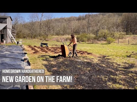 How We're Building Our New Garden! (On a Budget)